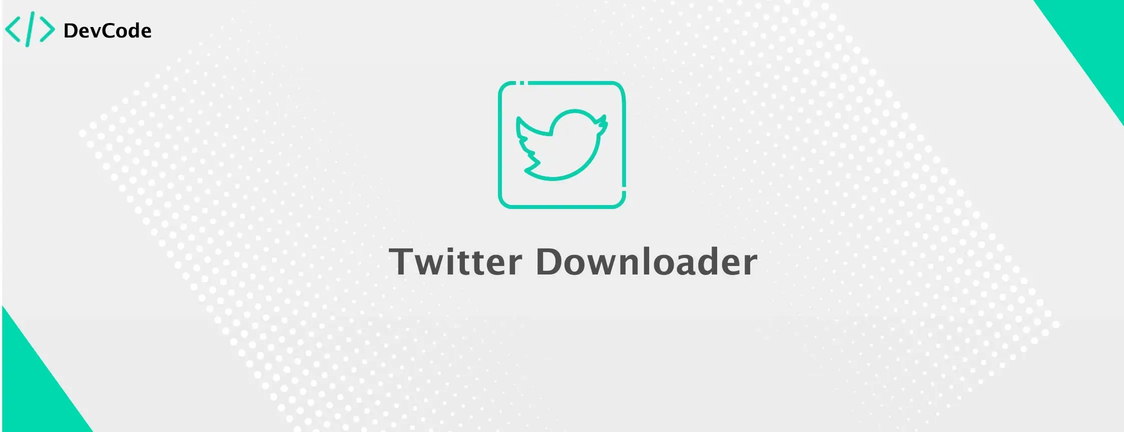 Twitter Downloader - DevCodes